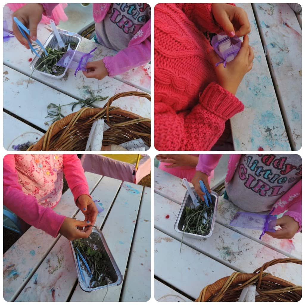 Sustainable Fun with Kids – Making Lavender Perfume - The Empowered ...