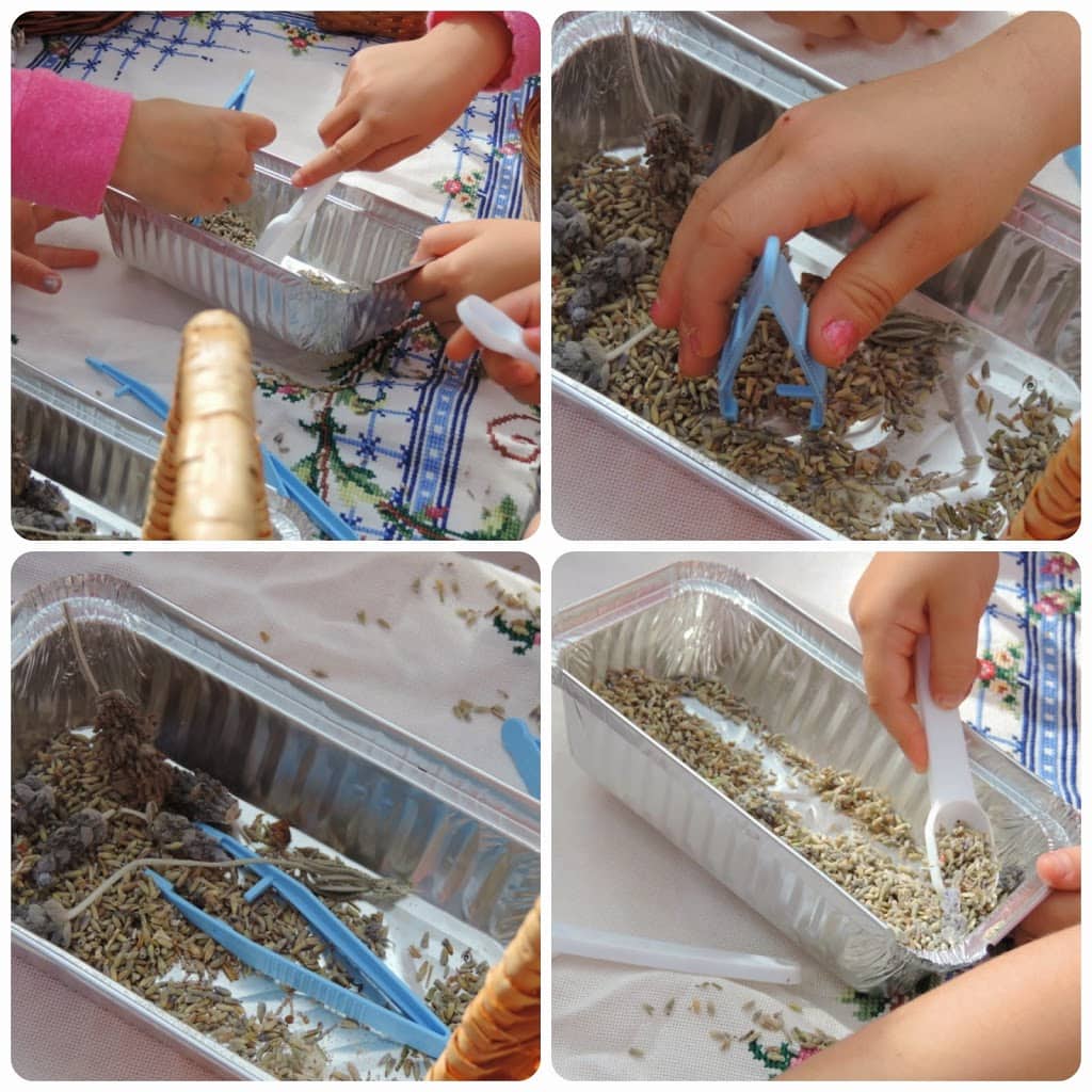 Sustainable Fun with Kids – Making Lavender Perfume - The Empowered ...