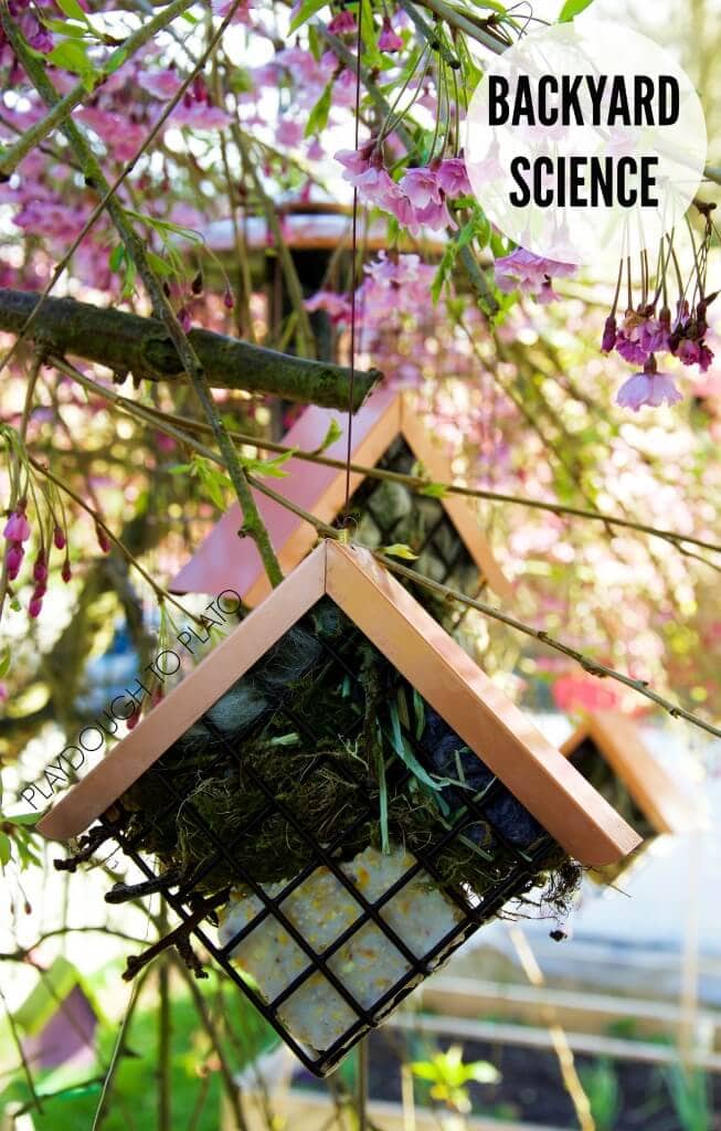 How to encourage outdoor learning with living things. Projects & Play!
