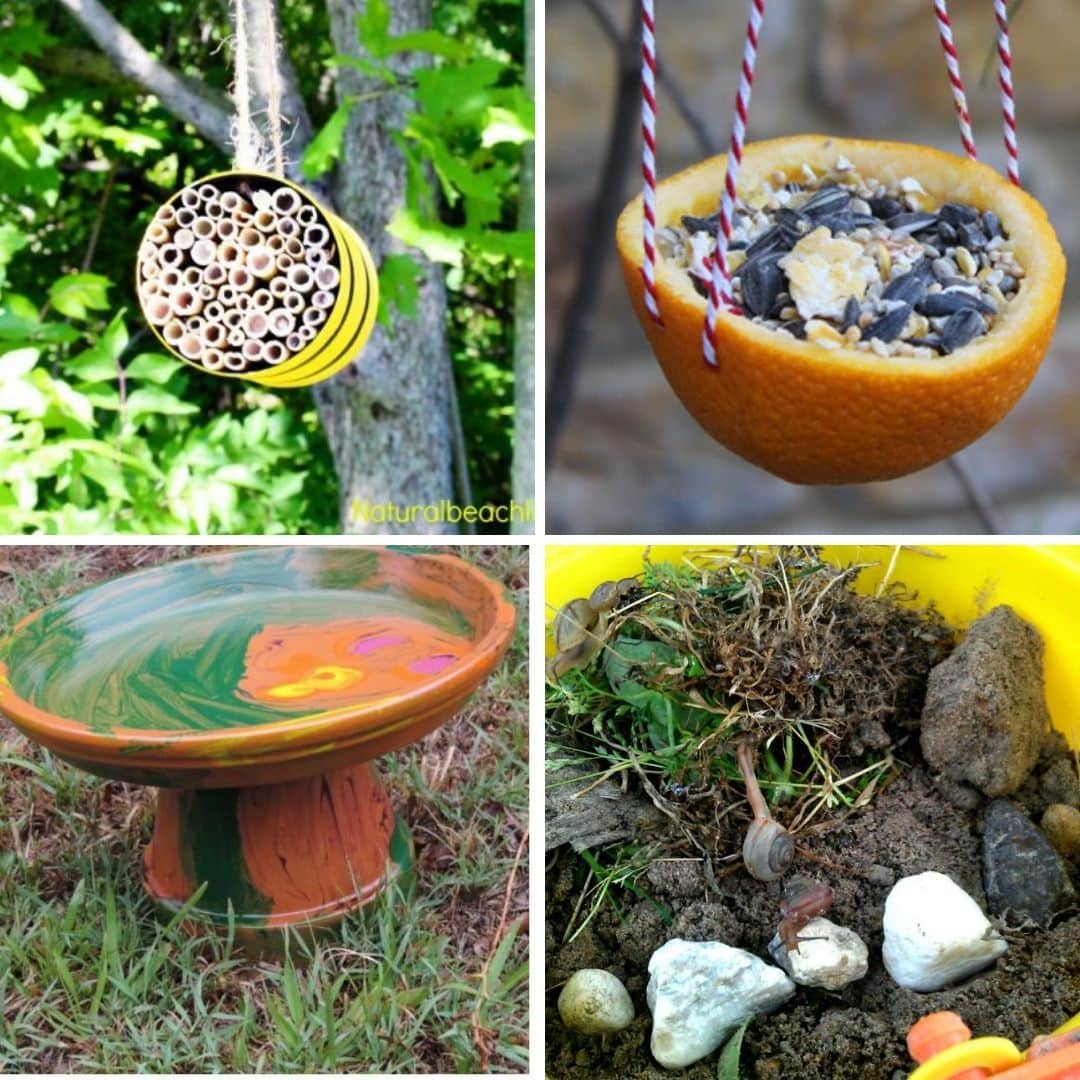 How to encourage outdoor learning with living things. Projects & Play!