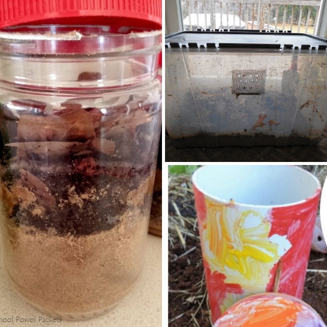 How to encourage outdoor learning with living things. Projects & Play!