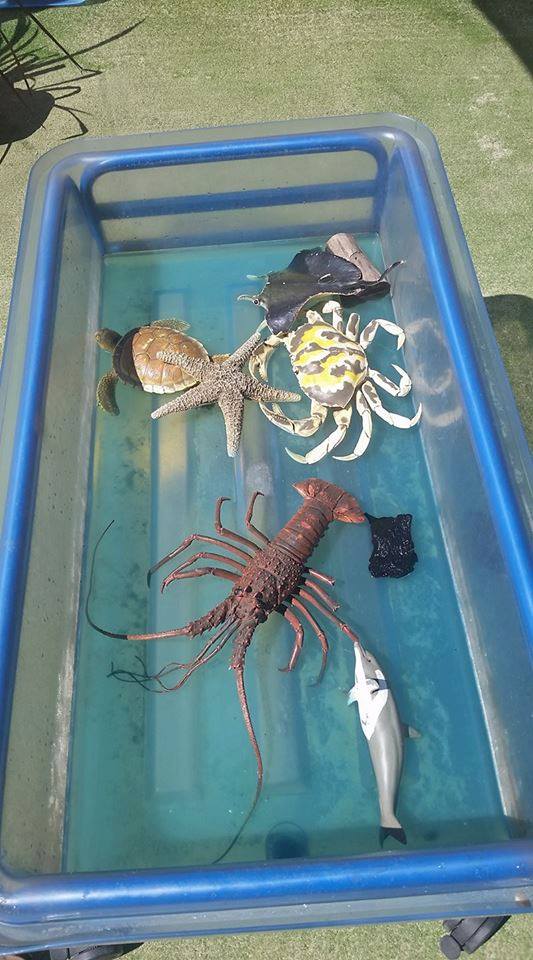 Water Play Activity Ideas for Children and Educators