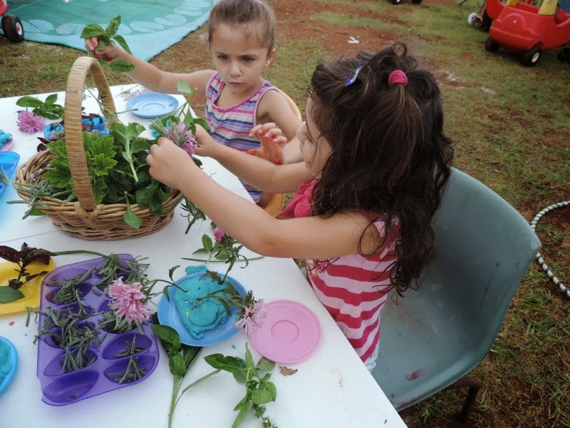 Ideas for Play and Learning With Leaves and Seeds