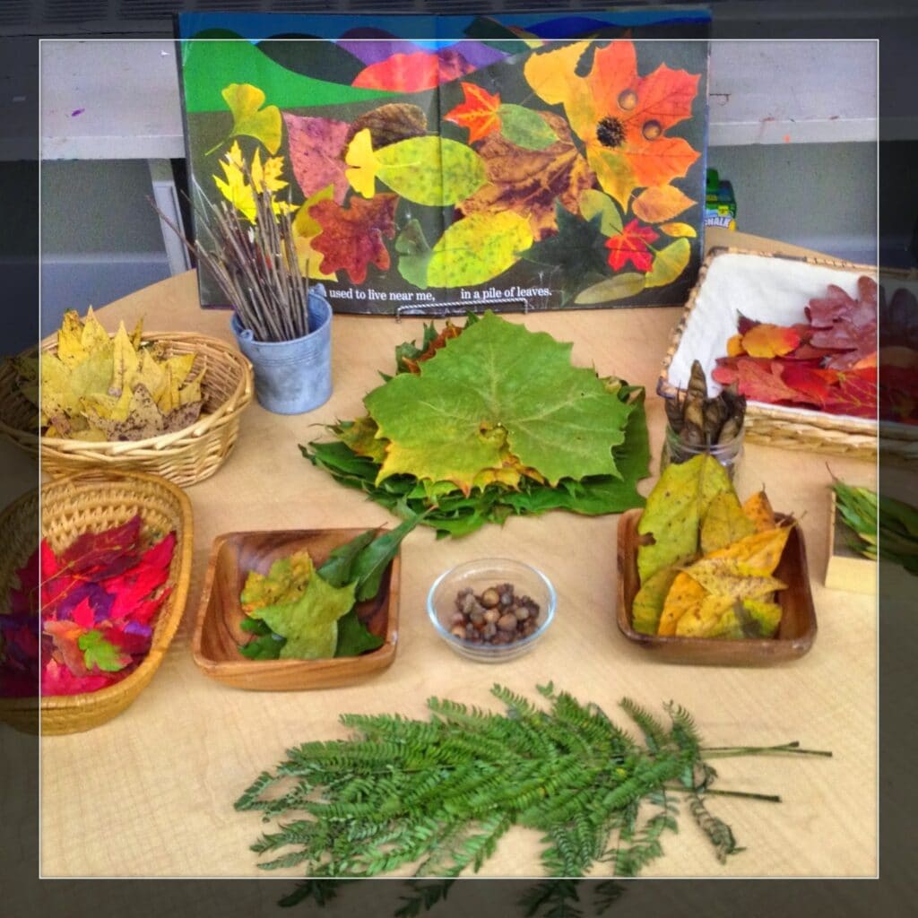 Ideas for Play and Learning With Leaves and Seeds