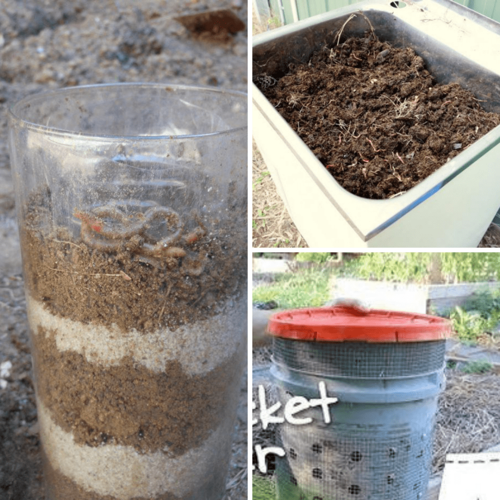 Making a Worm Farm With Children - Eco Fun and Early Learning