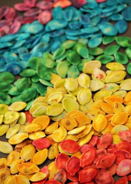 Ideas for Play and Learning With Leaves and Seeds