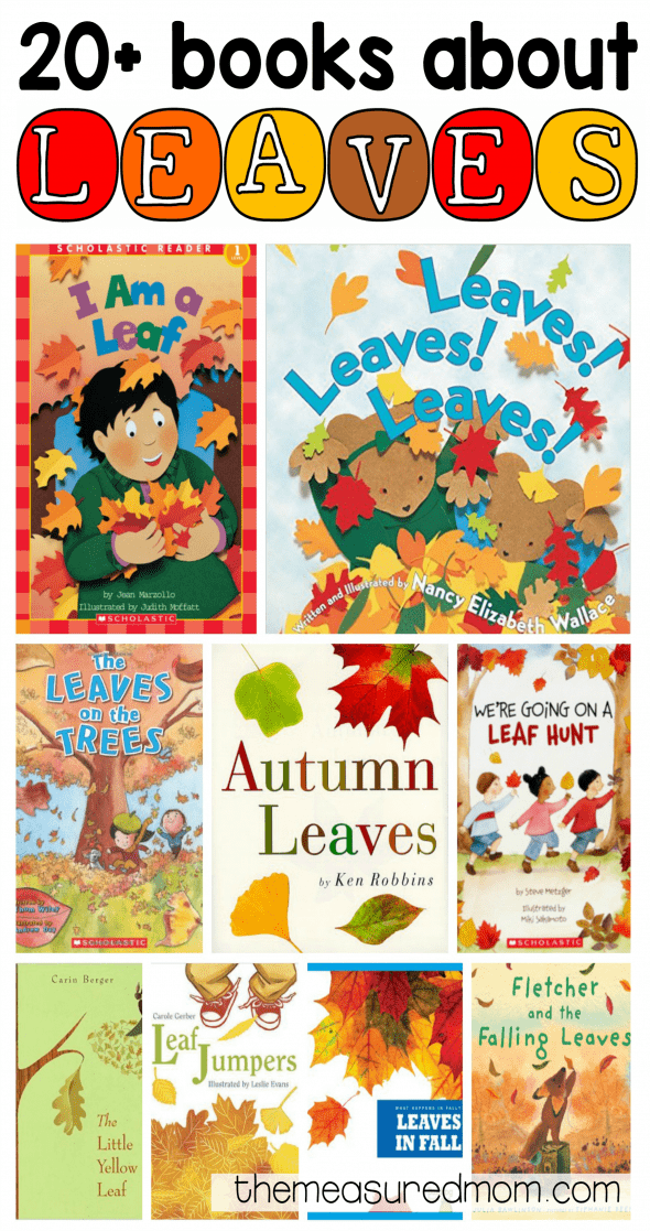 Ideas for Play and Learning With Leaves and Seeds