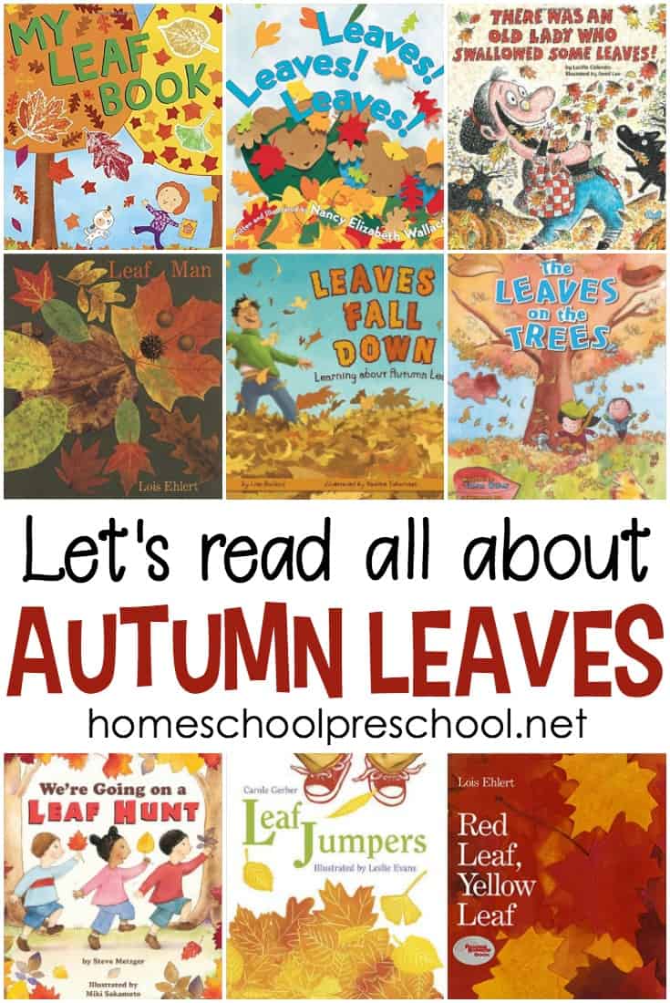 Ideas for Play and Learning With Leaves and Seeds
