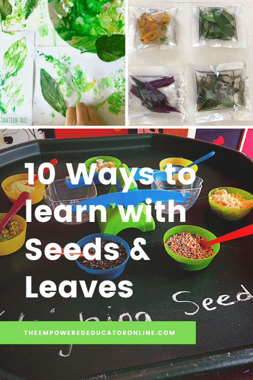 Ideas for Play and Learning With Leaves and Seeds