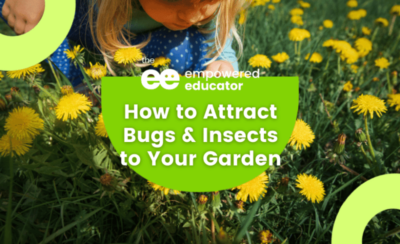 How to encourage outdoor learning with living things. Projects & Play!
