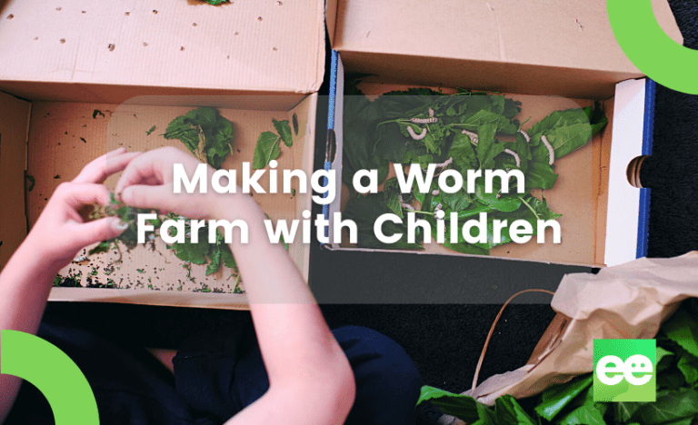 Making a Worm Farm With Children - Eco Fun and Early Learning