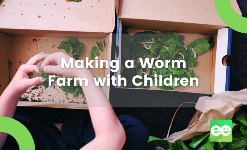 Making a Worm Farm With Children - Eco Fun and Early Learning
