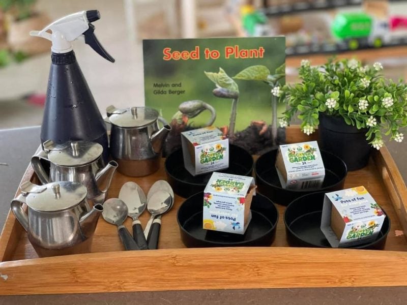 Play Ideas For Eco Friendly Fun In Early Learning Environments