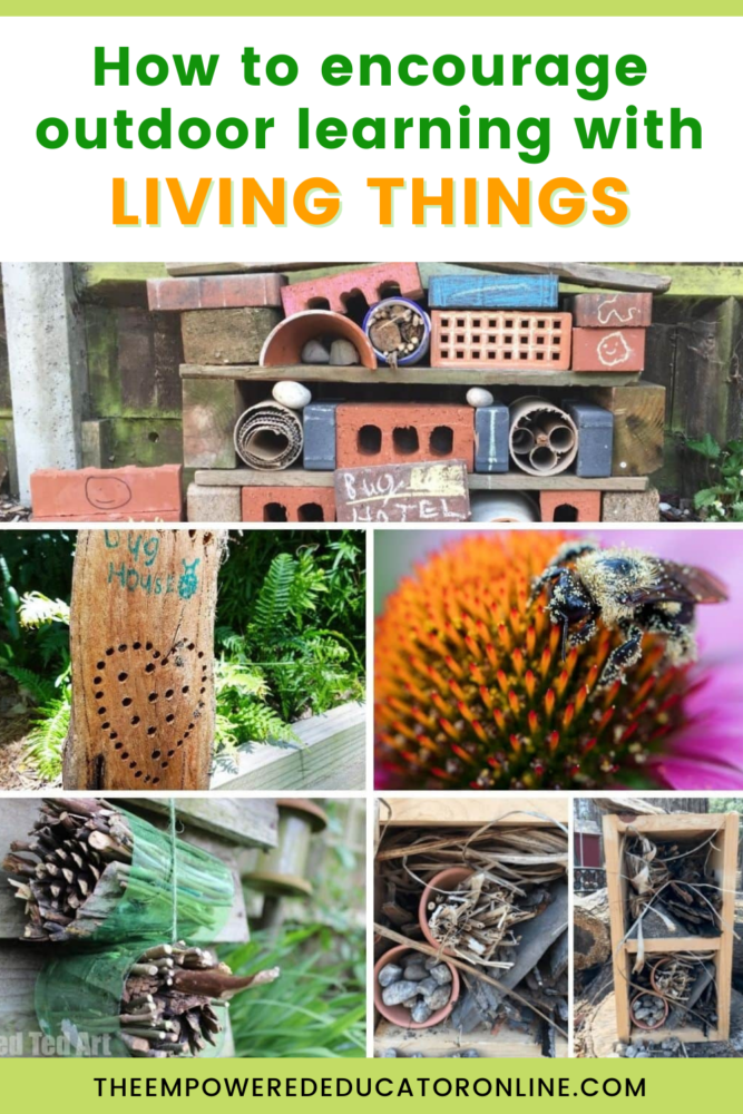 How to encourage outdoor learning with living things. Projects & Play!
